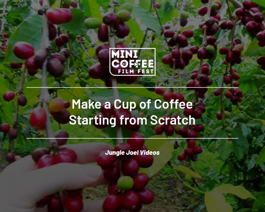 Coffee Coffee: A Specialty Coffee Documentary – Mini Coffee Film Fest ...